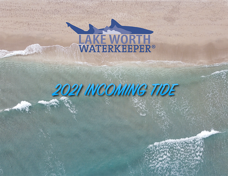 Reports • Lake Worth Waterkeeper